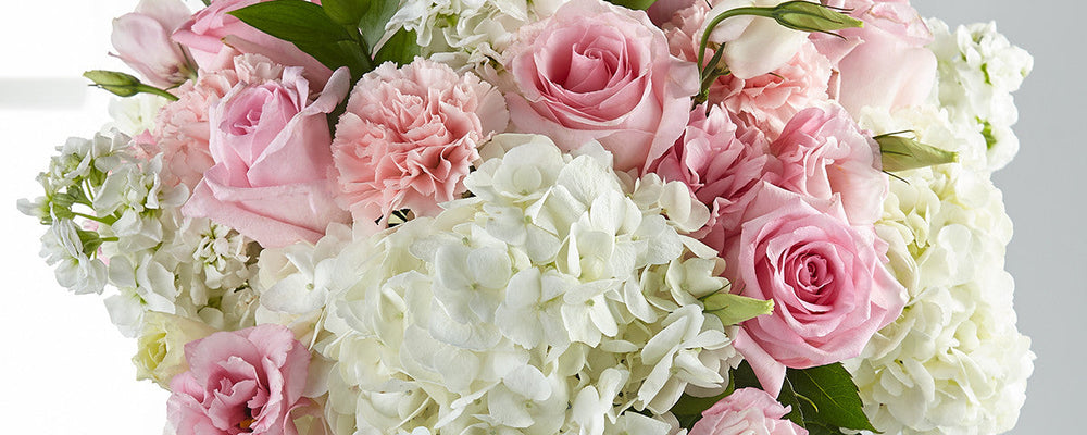 Collections–Safeway Floral