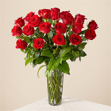 Roses & Rose Bouquets | Safeway–Safeway Floral