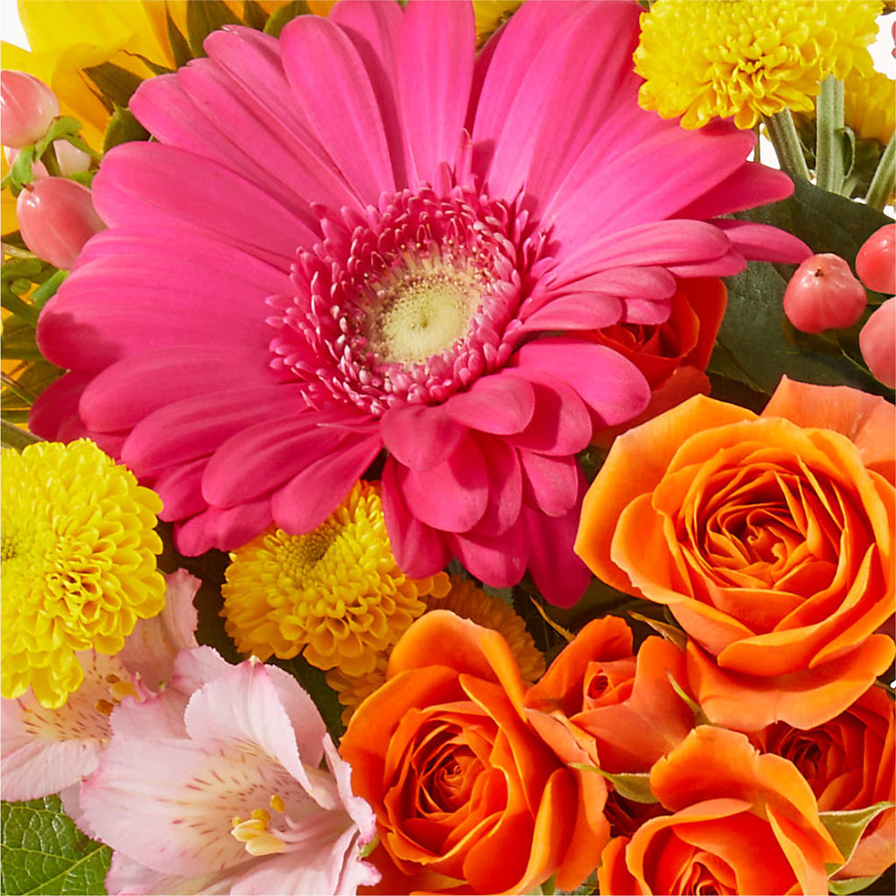 Collections–Safeway Floral